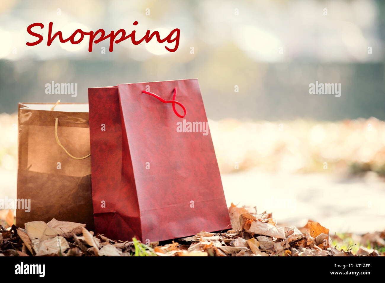 Shopping bags outside in autumn leaves, concept Stock Photo - Alamy