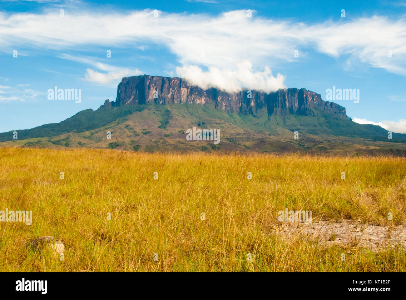 Kukenan Tepui, Gran Sabana, Venezuela Stock Photo - Alamy