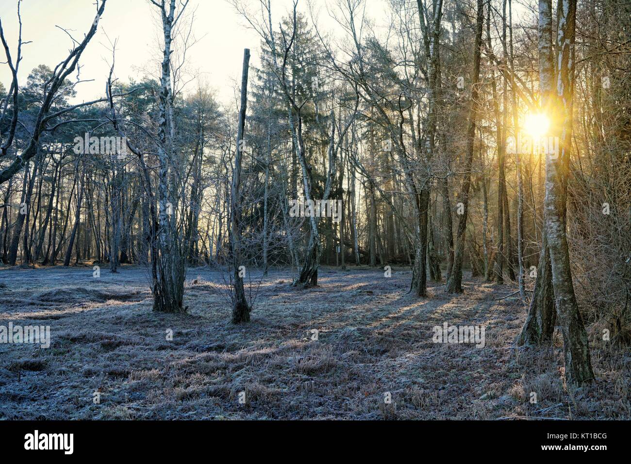 Frost cold warm contrast hi-res stock photography and images - Alamy