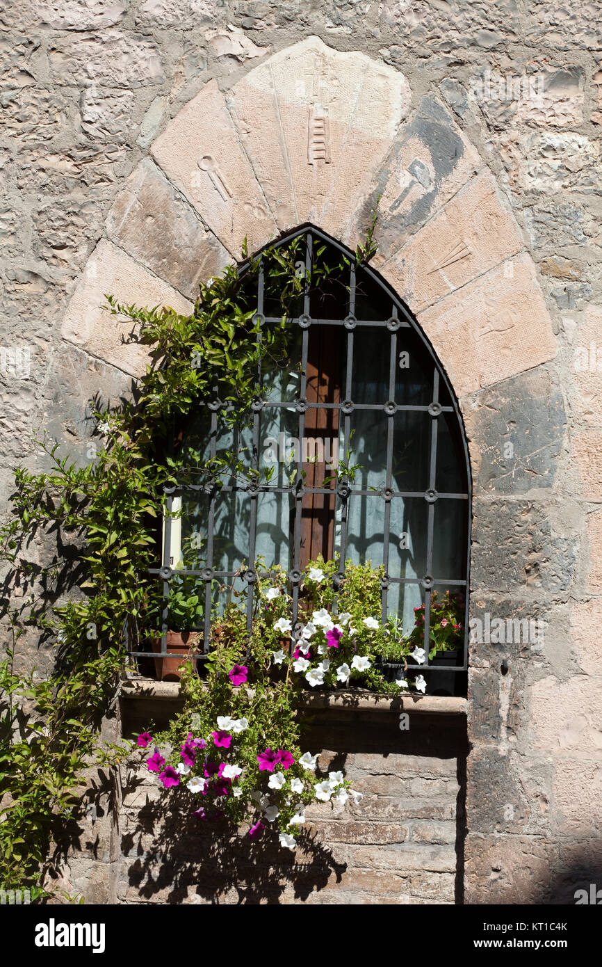 flowers hangs on the window of a home Stock Photo - Alamy