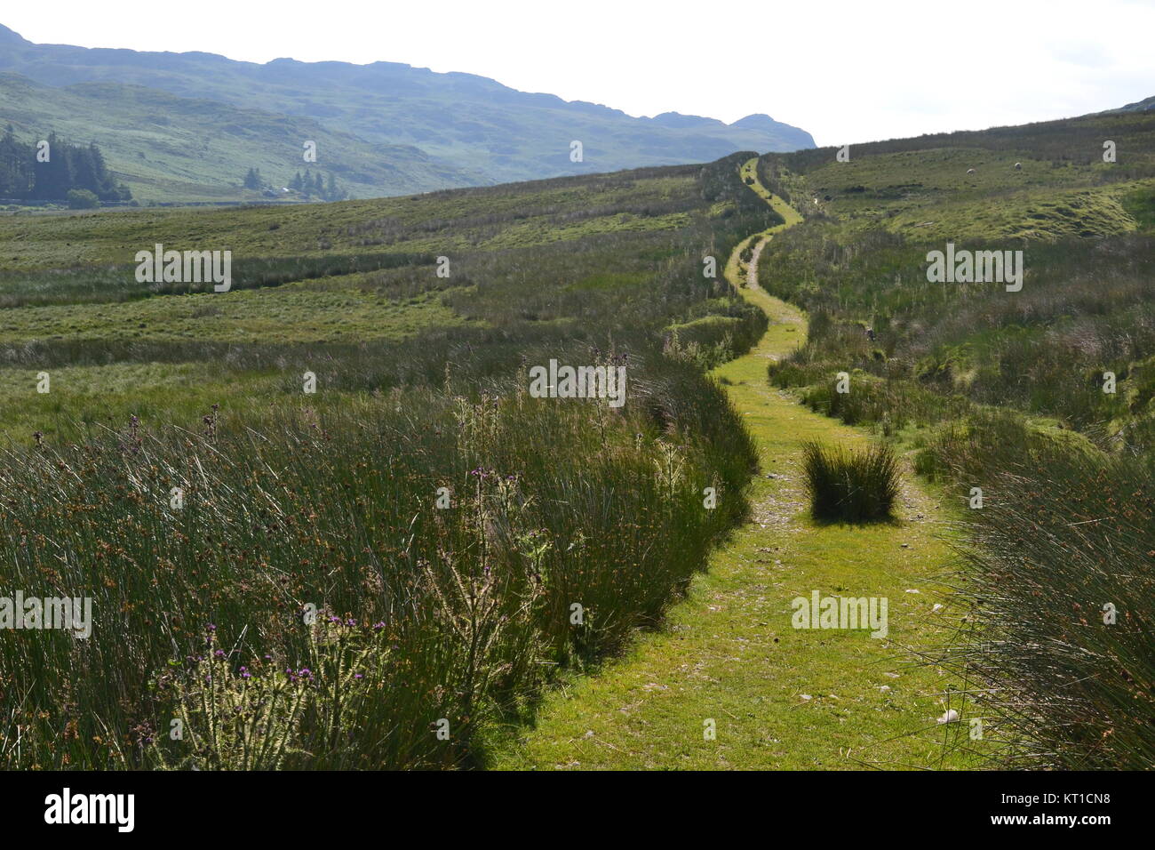 Wiggly path on Glyderau Valley walk between Tryfan and Betws-y-Coed ...