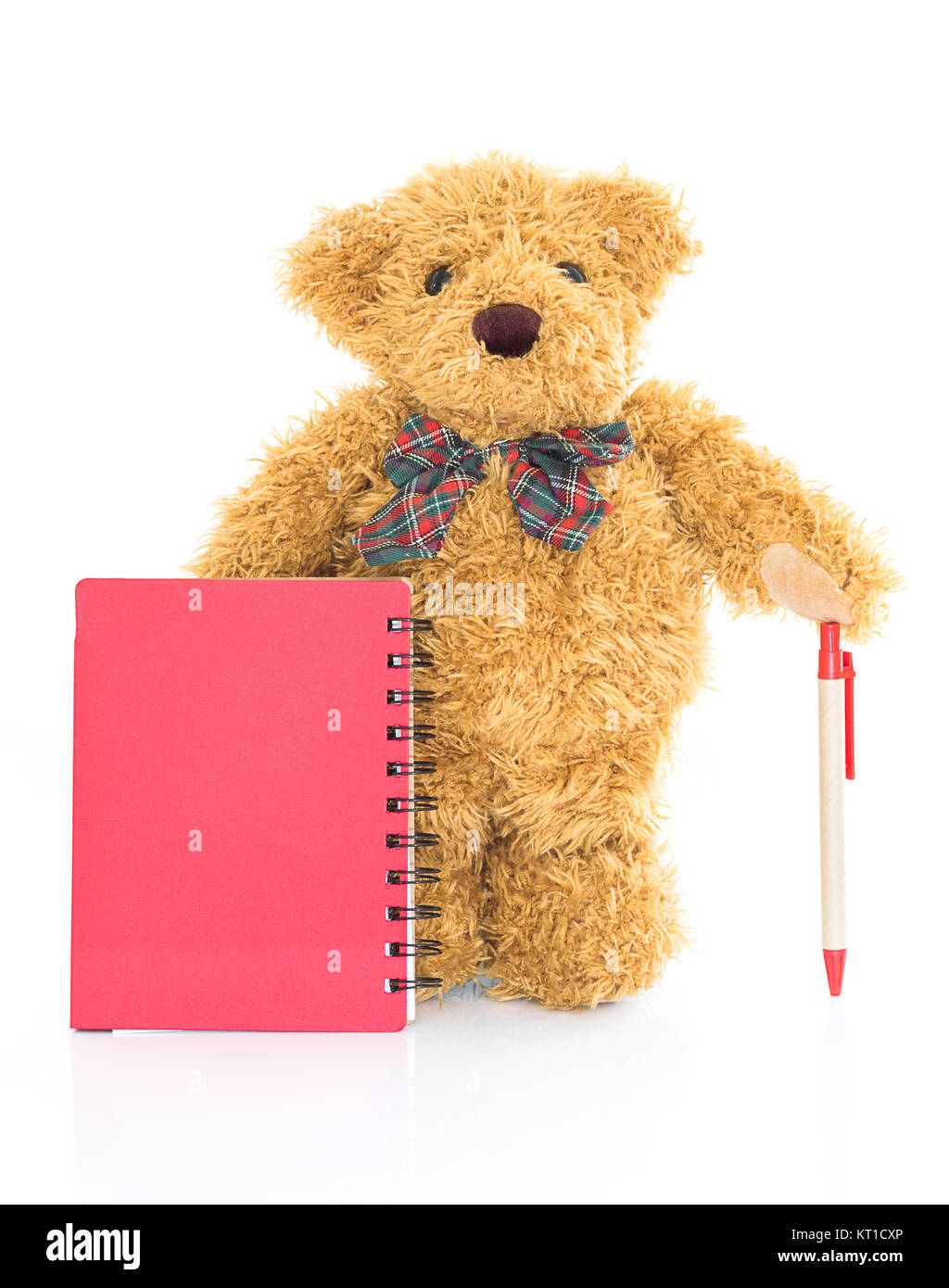 Bear lap Cut Out Stock Images & Pictures - Alamy