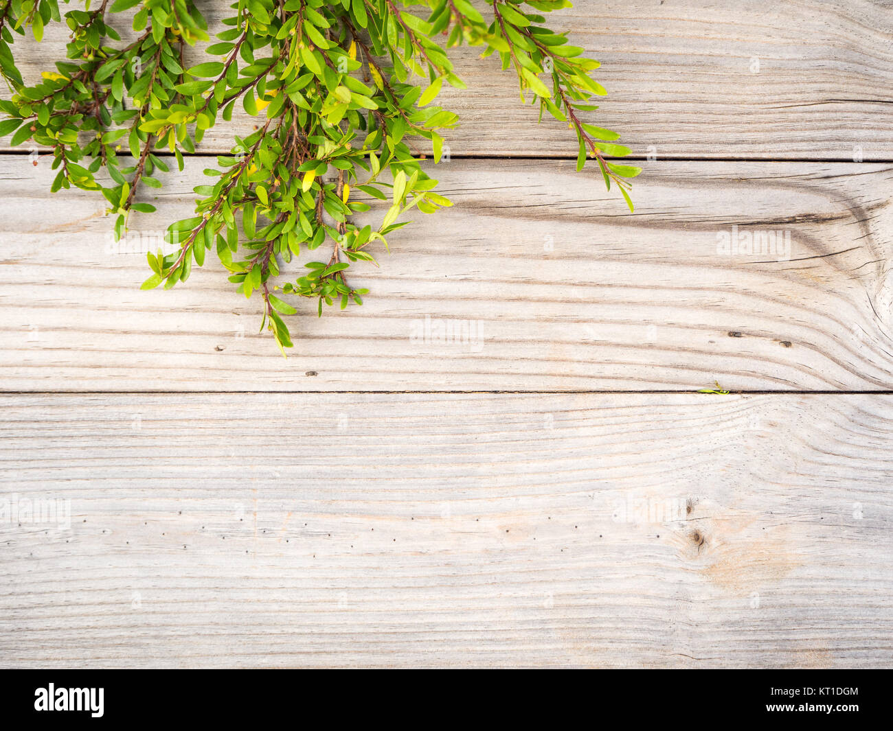 Wooden background texture with leaf Stock Photo - Alamy