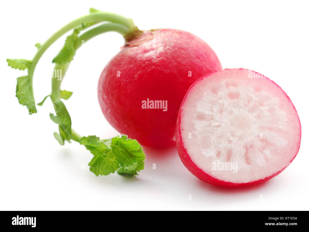 Fresh small radish over white background Stock Photo - Alamy
