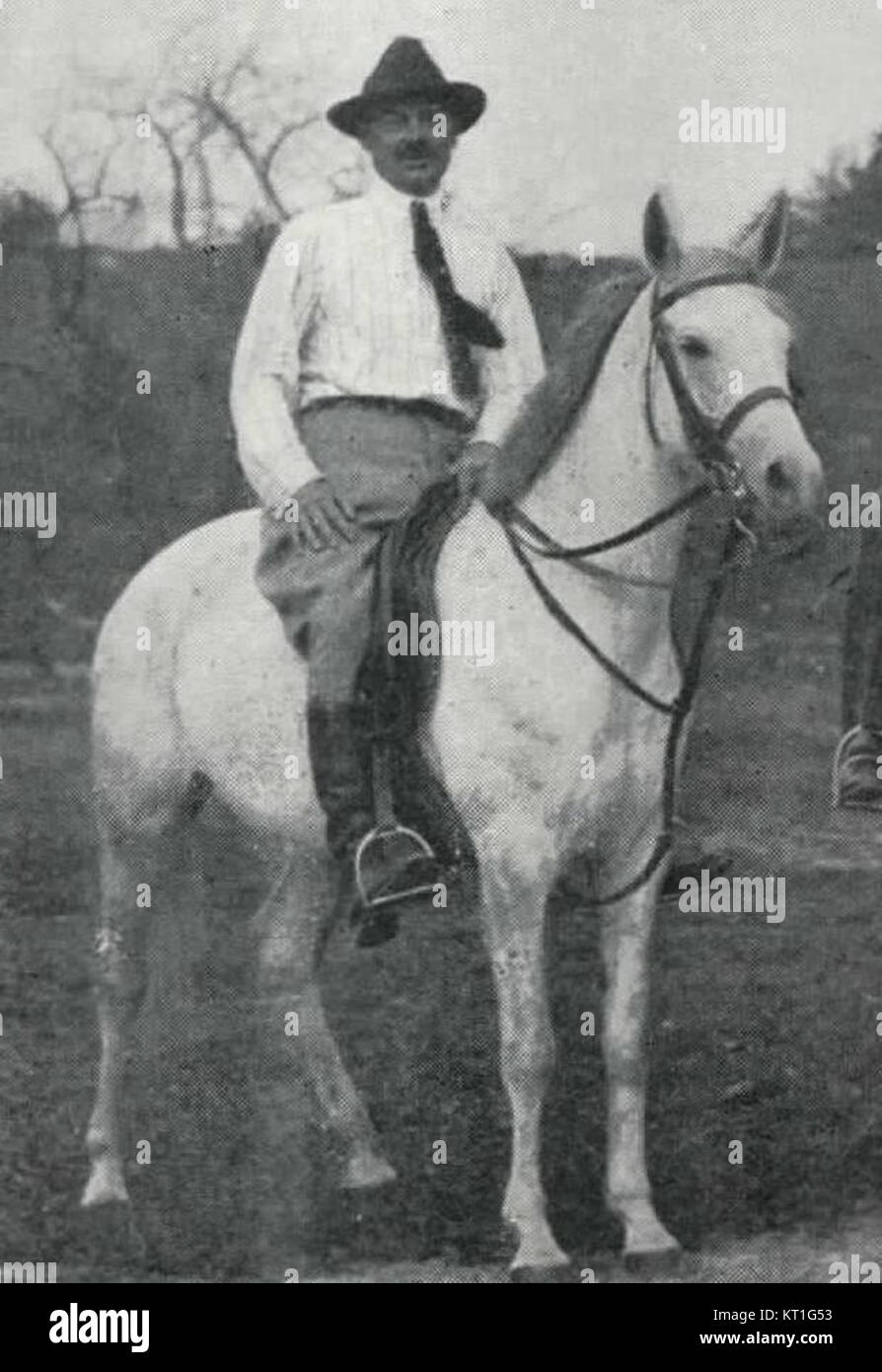 This image captures a moment of a brown horse and rider, depicting the ...