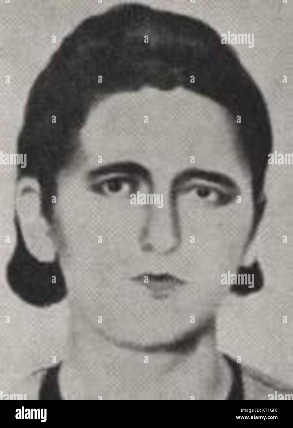 Butorac hi-res stock photography and images - Alamy