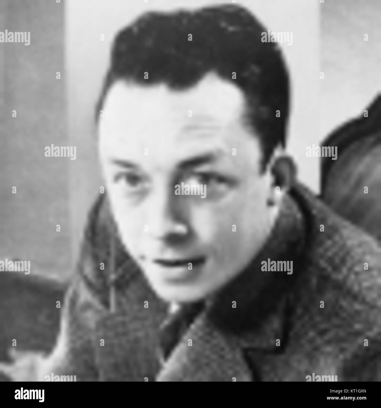 Camus stock photo hi-res stock photography and images - Alamy