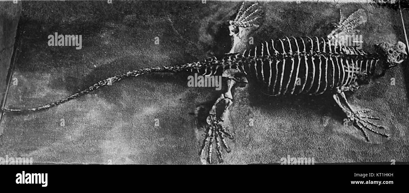 Casea hi-res stock photography and images - Alamy