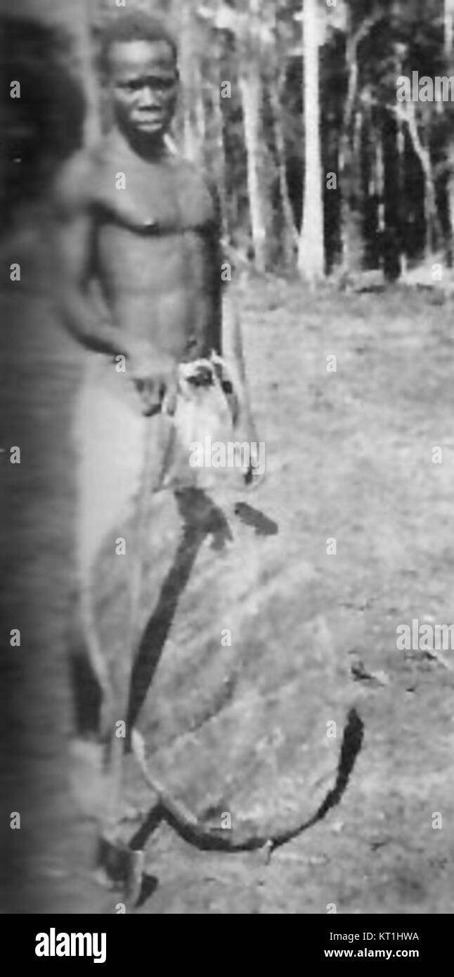 Forced labor congo hi-res stock photography and images - Alamy