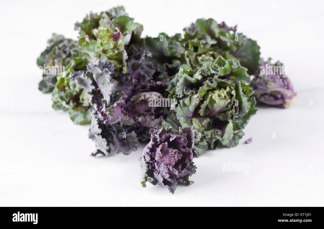 Baby kale on white hi-res stock photography and images - Alamy