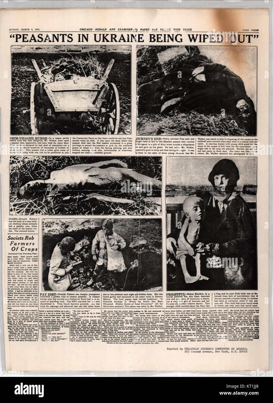 The chicago herald hi-res stock photography and images - Alamy