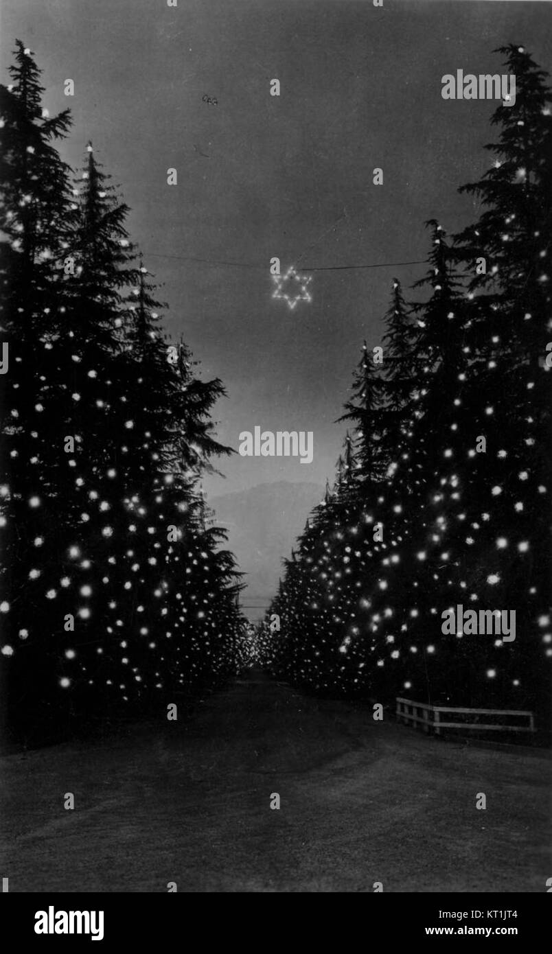 Altadena christmas tree lane hi-res stock photography and images - Alamy