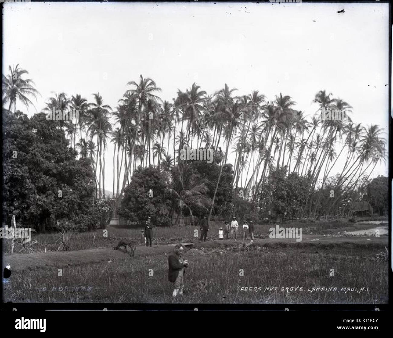 This photograph by Brother Bertram captures the lush, tropical scenery ...