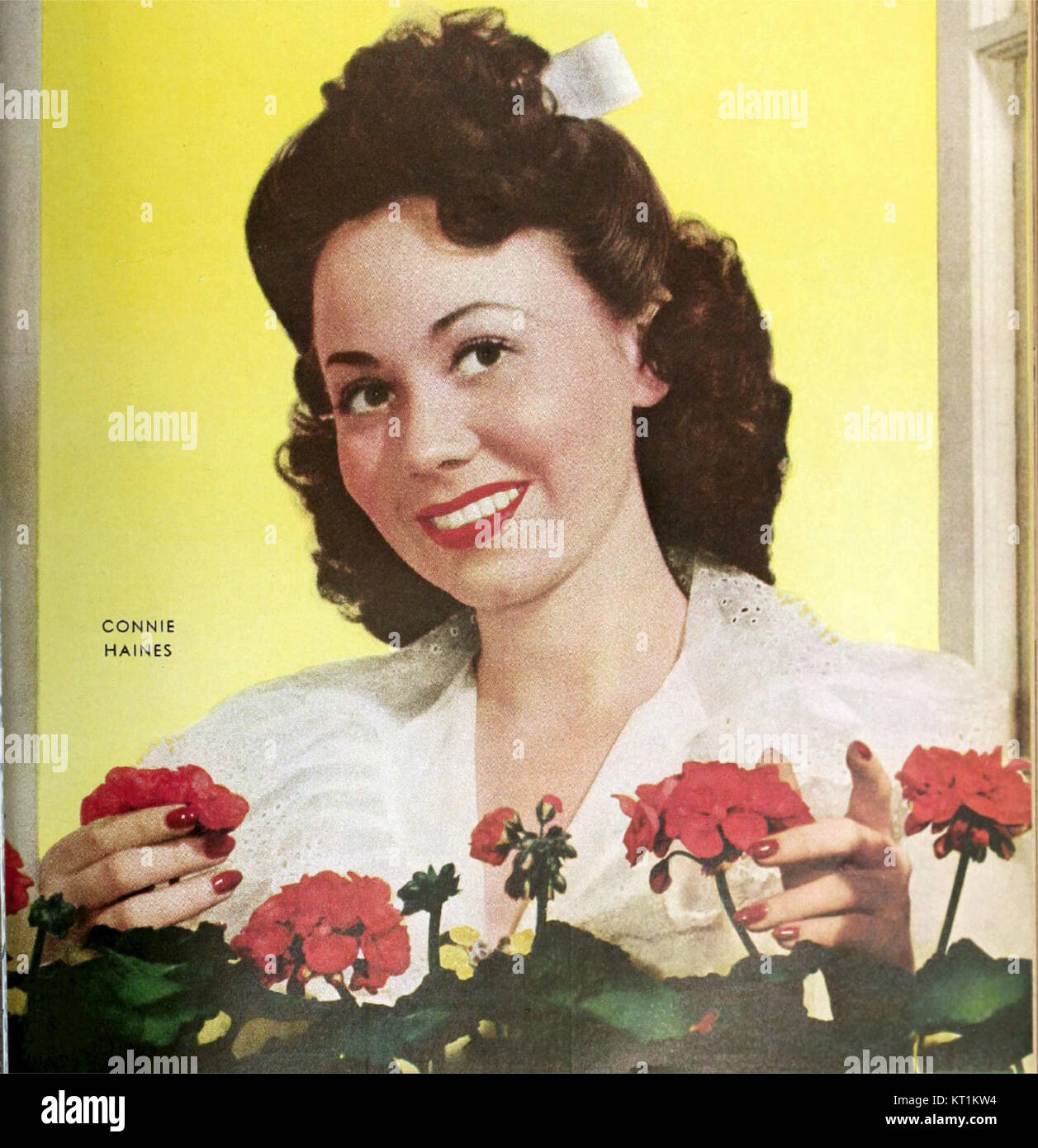 Harry haines hi-res stock photography and images - Alamy