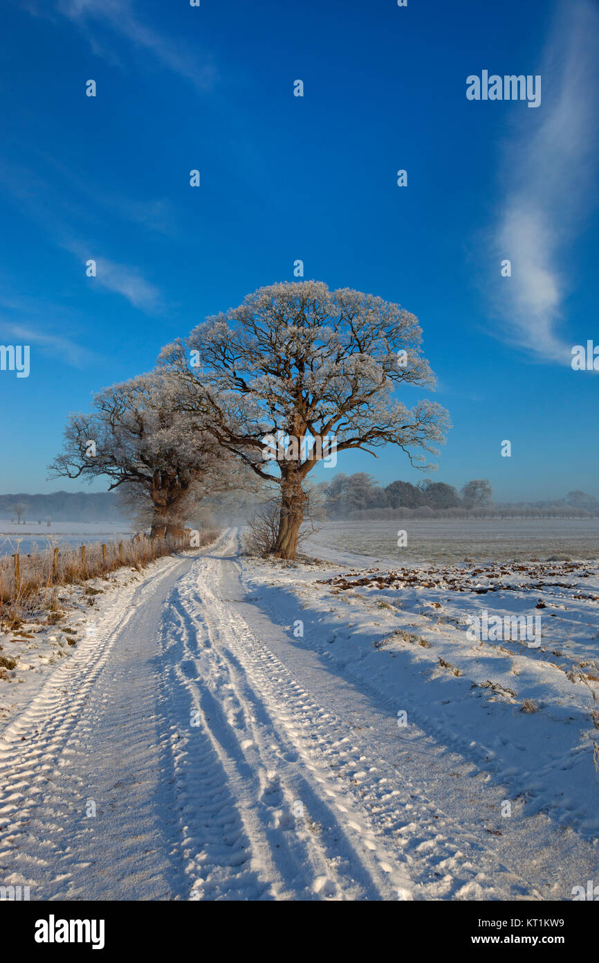 Felbrigg estate winter hi-res stock photography and images - Alamy