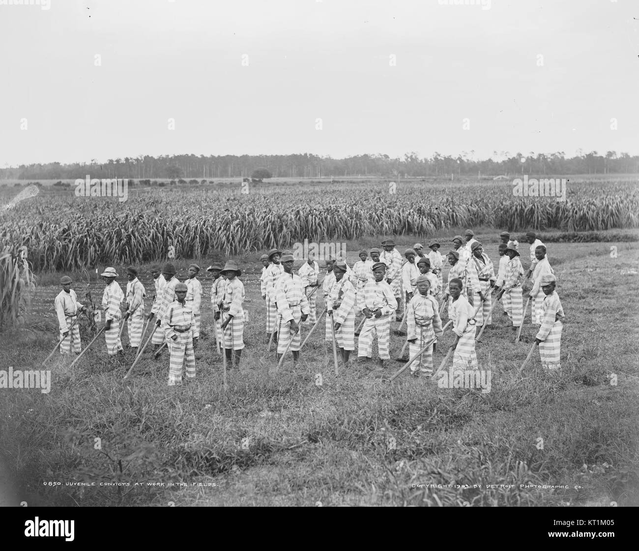 The 1903 image of convicts provides a historical look at the penal ...