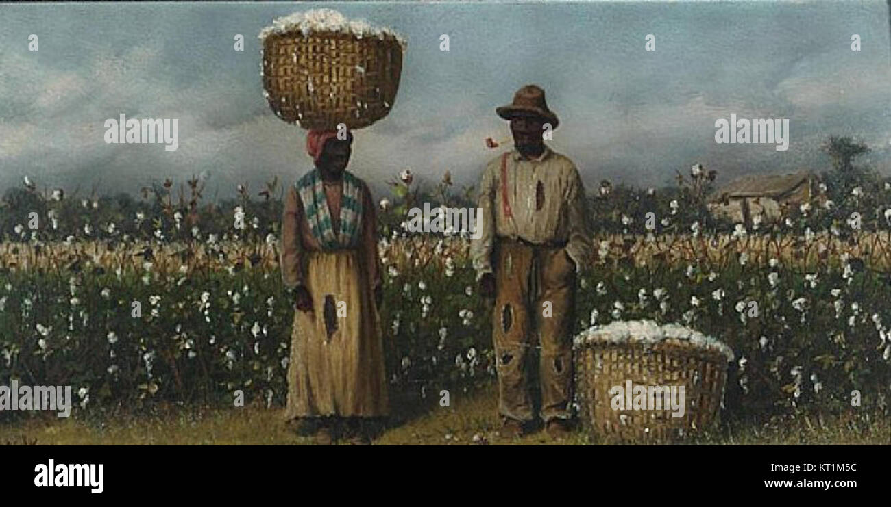 Cotton pickers hi-res stock photography and images - Alamy