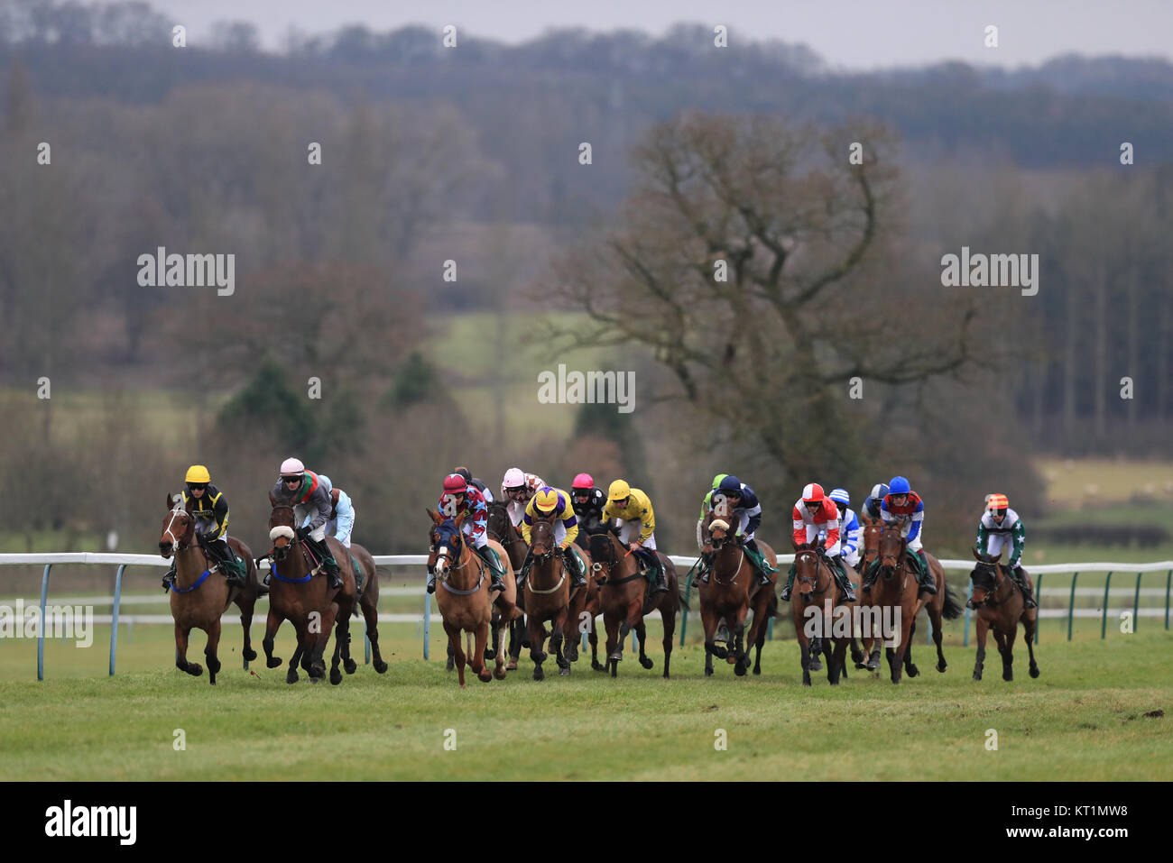 Horses come up the hill in the totepool Caroline Beesley Memorial ...