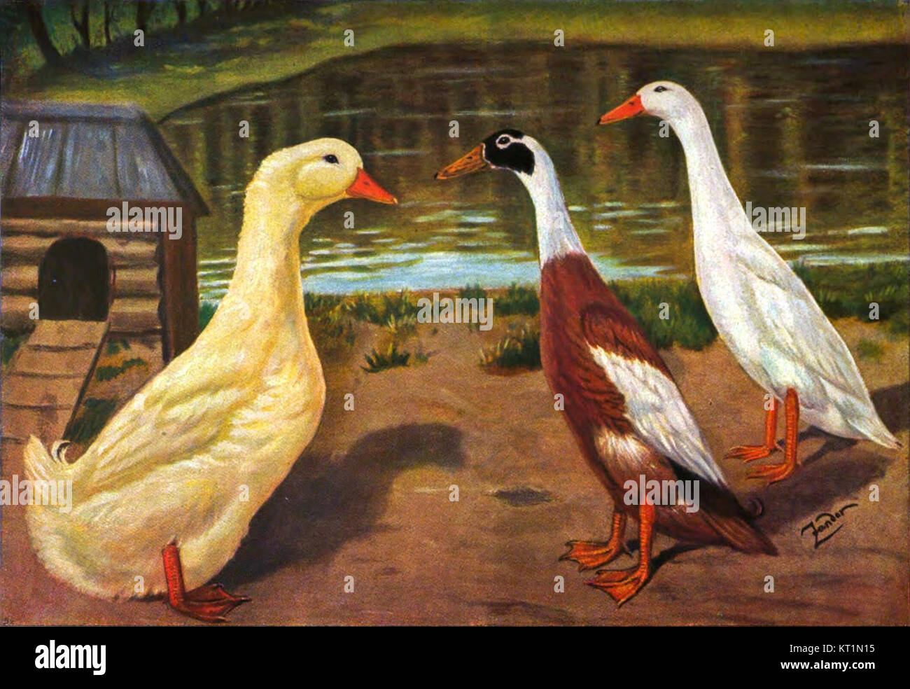 Methods used in breeding hi-res stock photography and images - Alamy