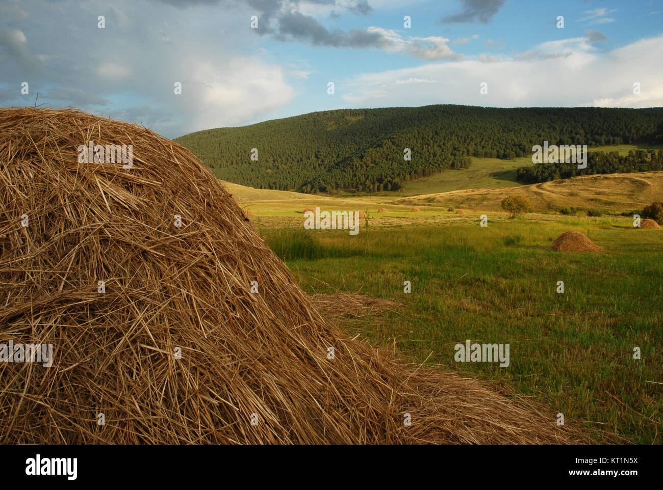 Artvin,is a city in northeastern Turkey about 30 km inland from the ...