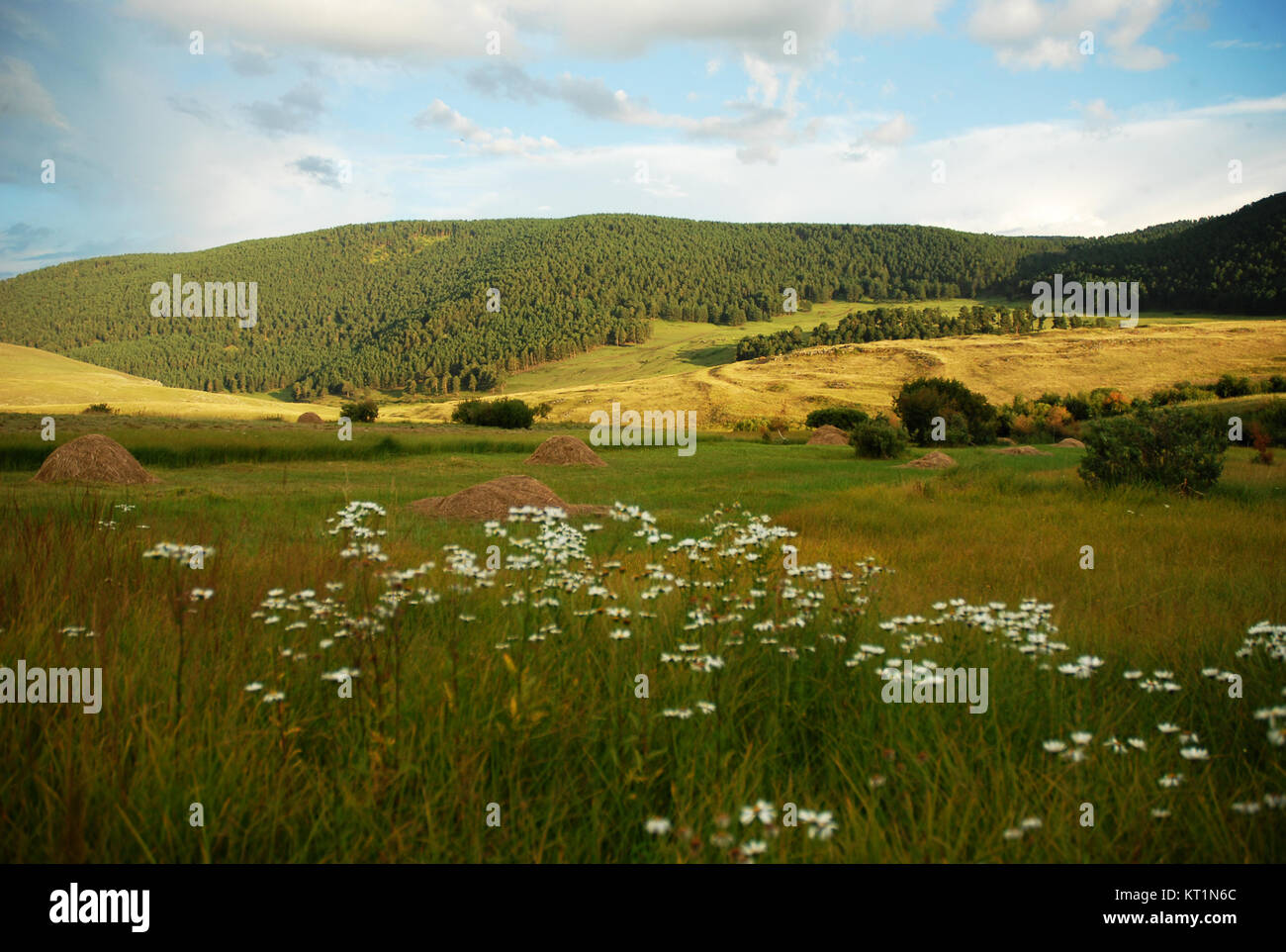 Artvin,is a city in northeastern Turkey about 30 km inland from the ...
