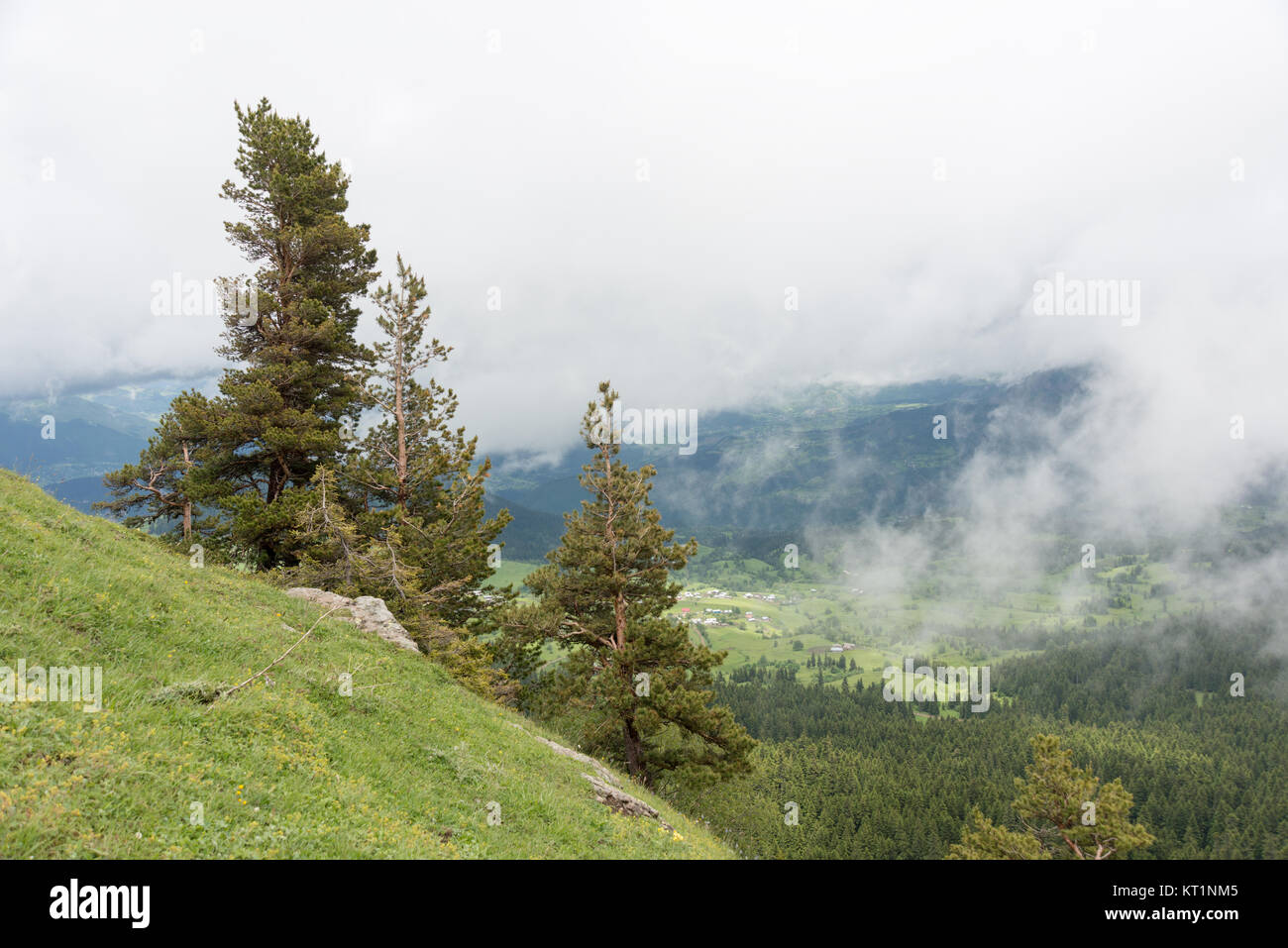 Artvin is a city in northeastern Turkey about 30 km inland from the ...