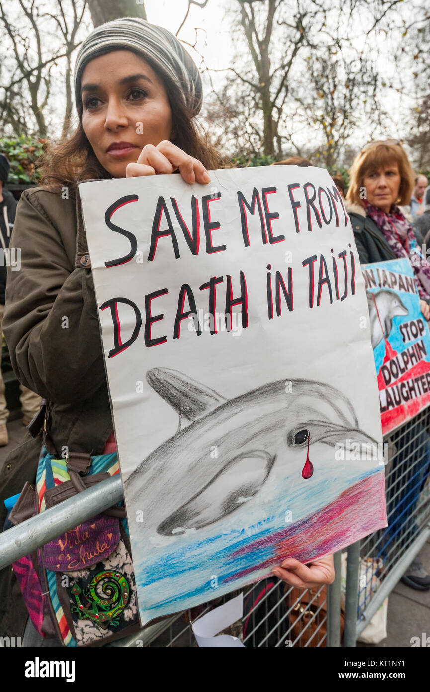 A woman holds a poster showing a bleeding dolphin with the message ...