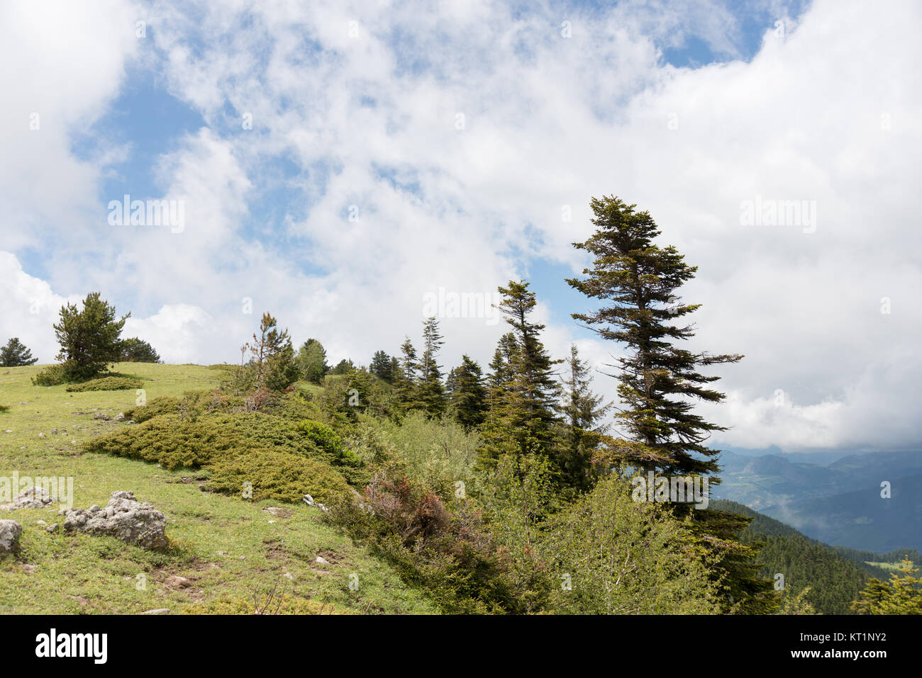 Artvin is a city in northeastern Turkey about 30 km inland from the ...