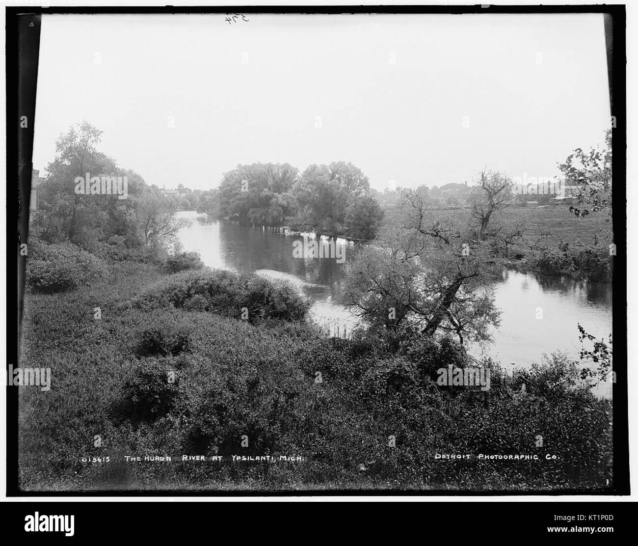 American beauty company Black and White Stock Photos & Images - Alamy