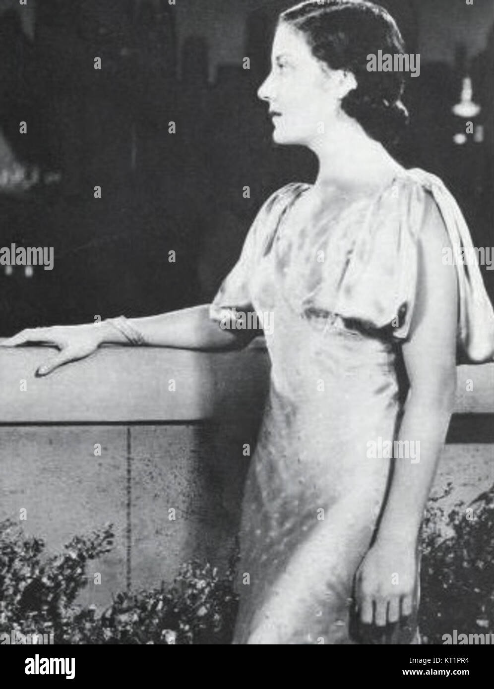 Dorothy tree hi-res stock photography and images - Alamy