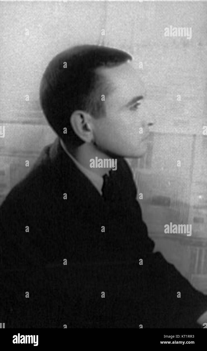 A portrait of Edward Albee, captured by Carl Van Vechten, showcasing ...
