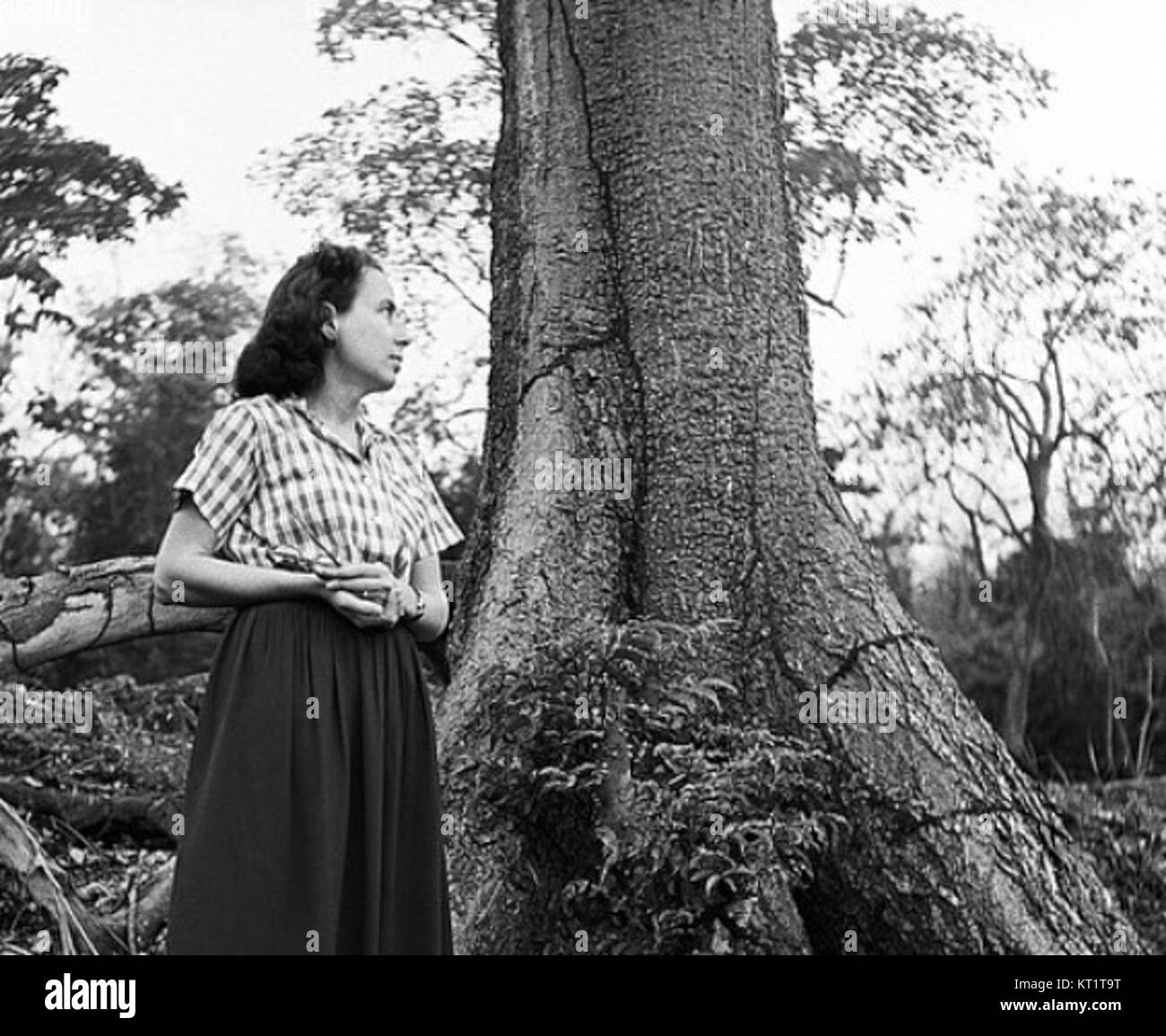 Elizabeth Schon, born in 1954, is a notable individual whose ...