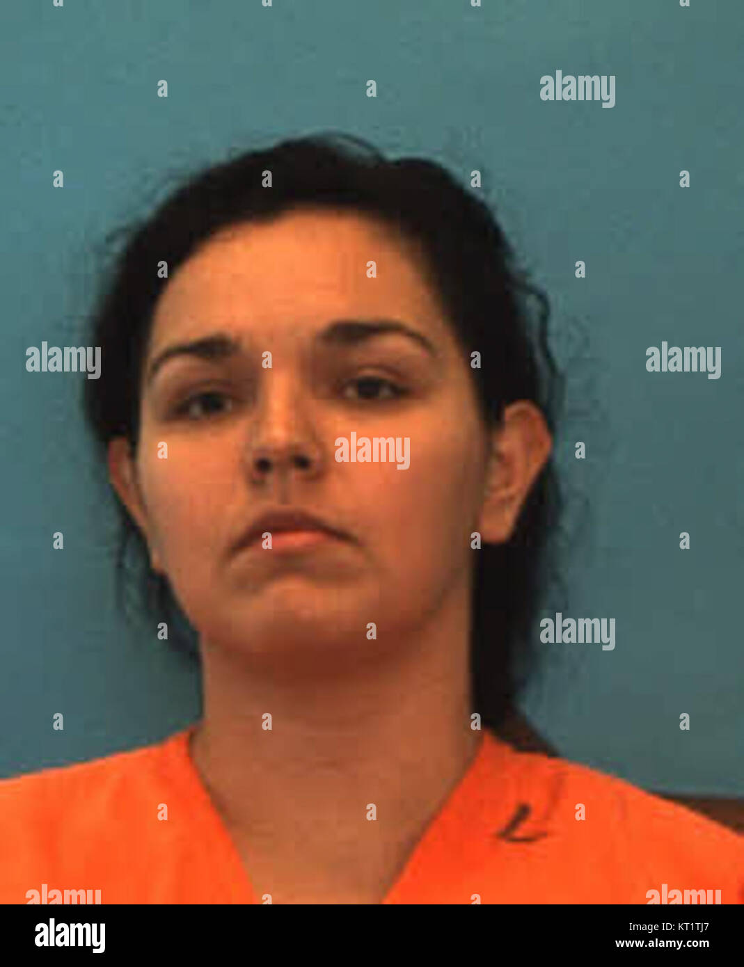 Emilia L. Carr is a prominent figure in FLDOC (Florida Department of ...