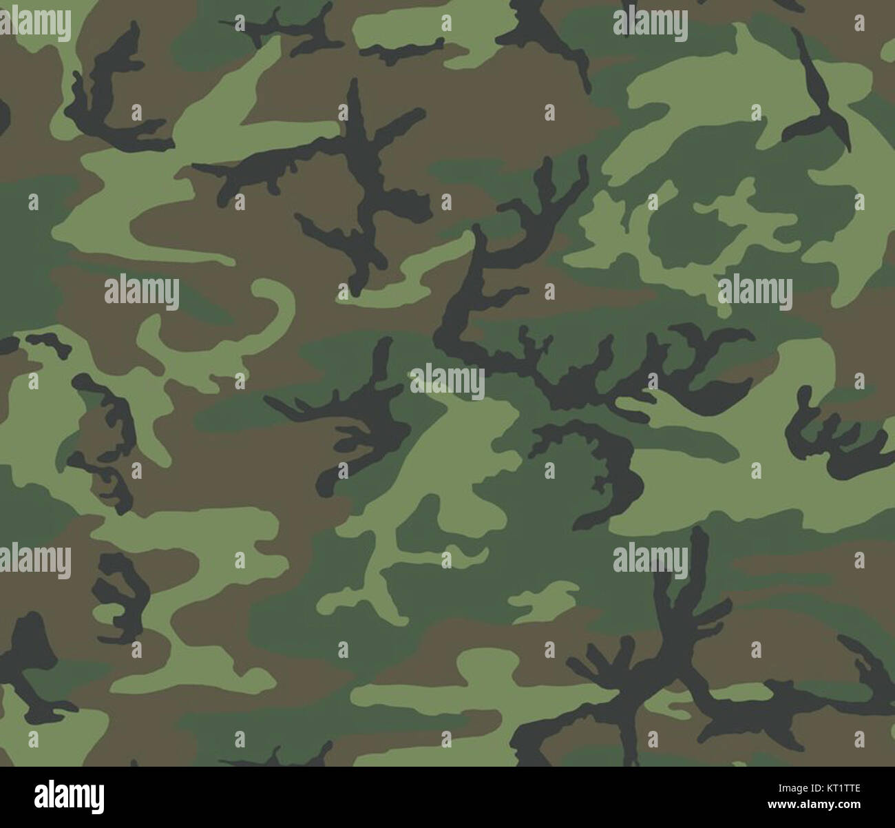 The ERDL camouflage pattern, developed by the U.S. Army during the ...