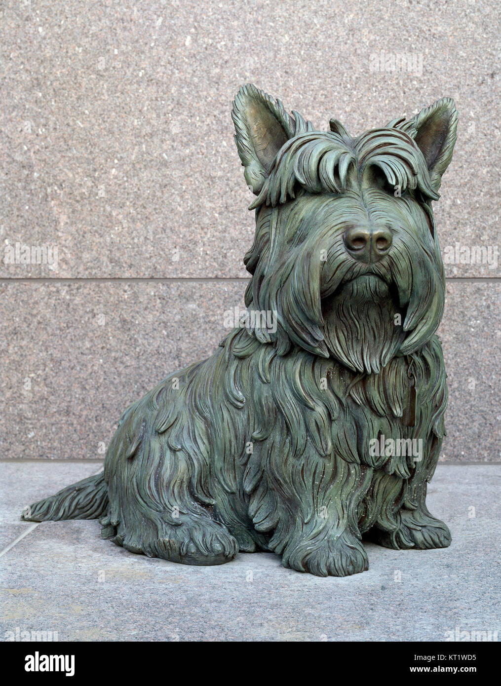 Fdr and fala hi-res stock photography and images - Alamy