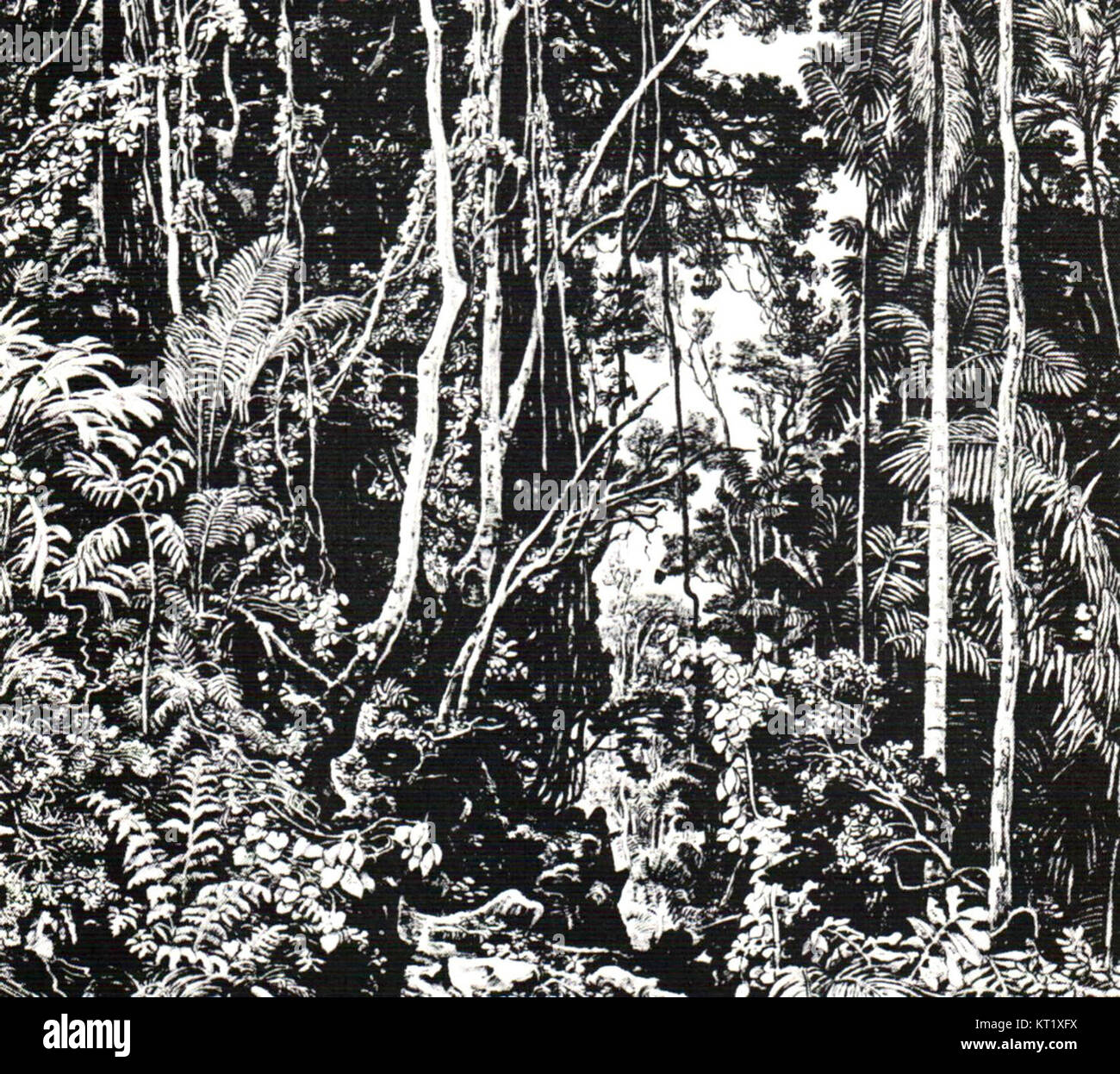 Ferdinand Bellermann, a notable artist, created this piece of artwork ...