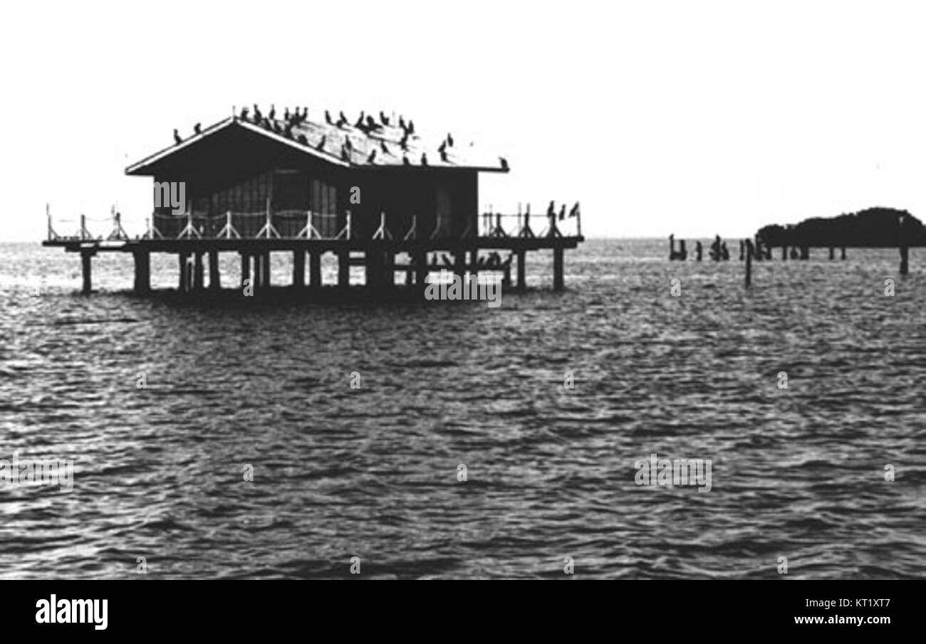 Offering fish Black and White Stock Photos & Images - Alamy