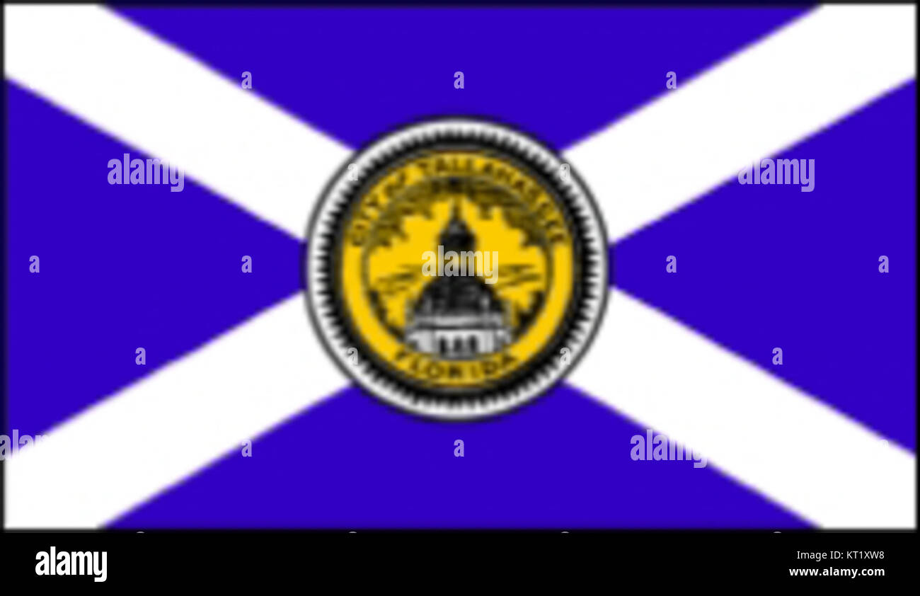 The flag of Tallahassee, the capital of Florida, represents the city's ...