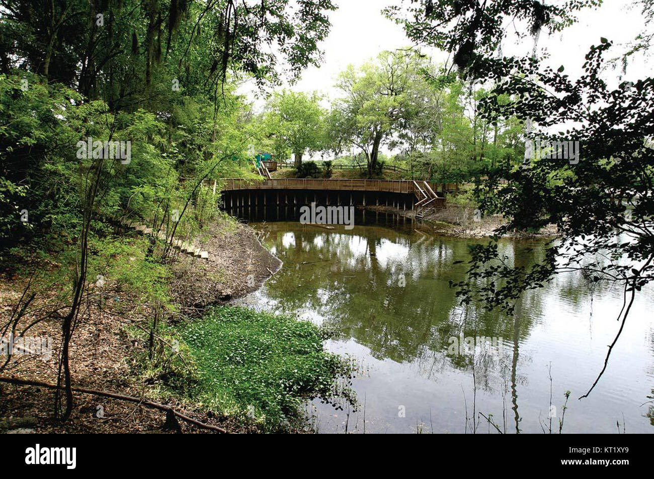 The title 'FlBranfordSpring' appears to refer to a location, possibly a ...