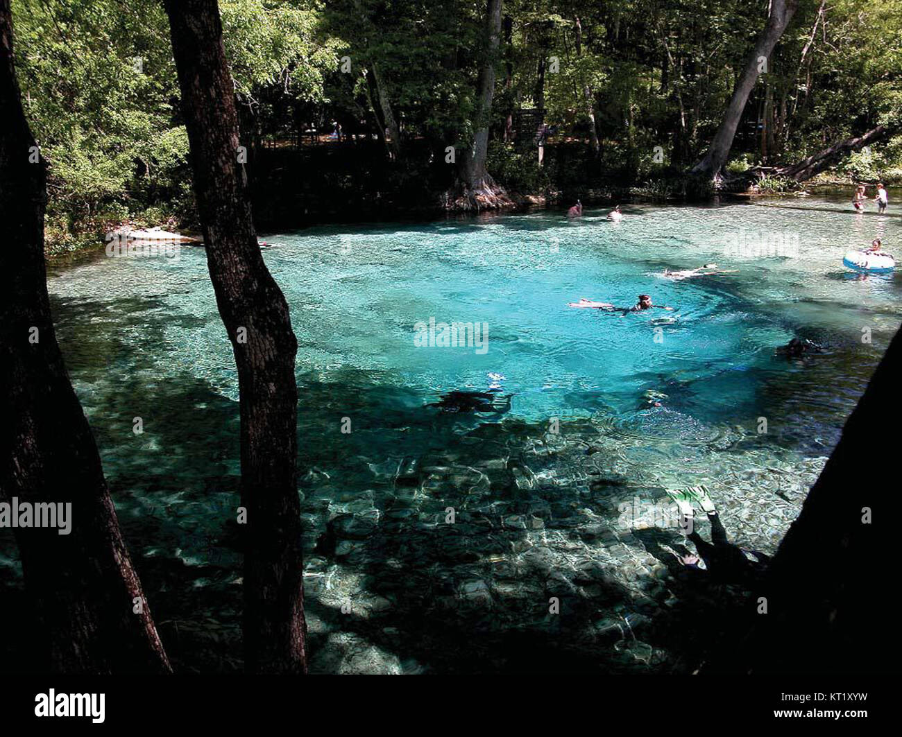 Ginnie Spring is a natural spring located in Florida, famous for its ...