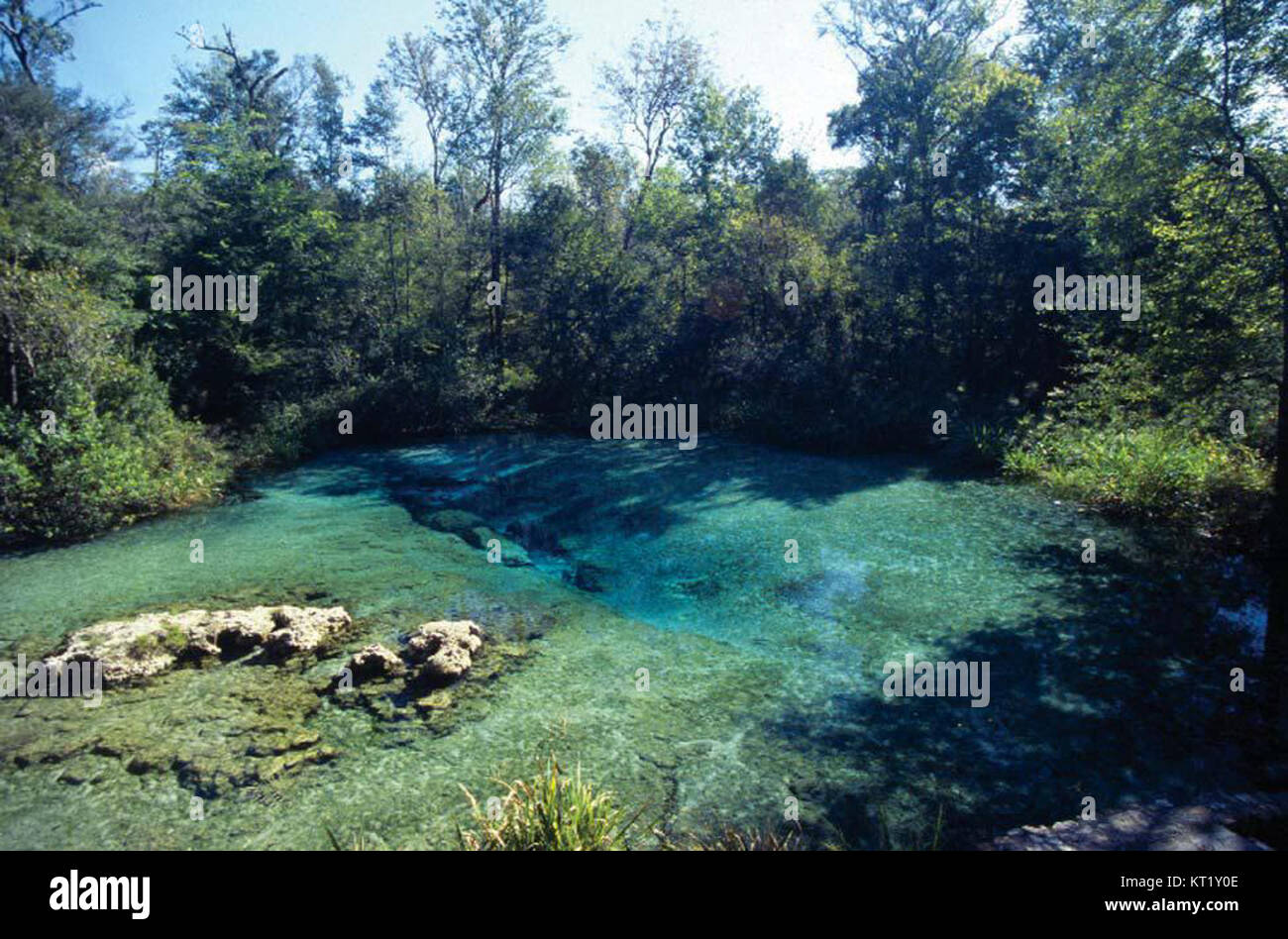 Flechetucknee Springs is a natural spring located in Florida. It is ...