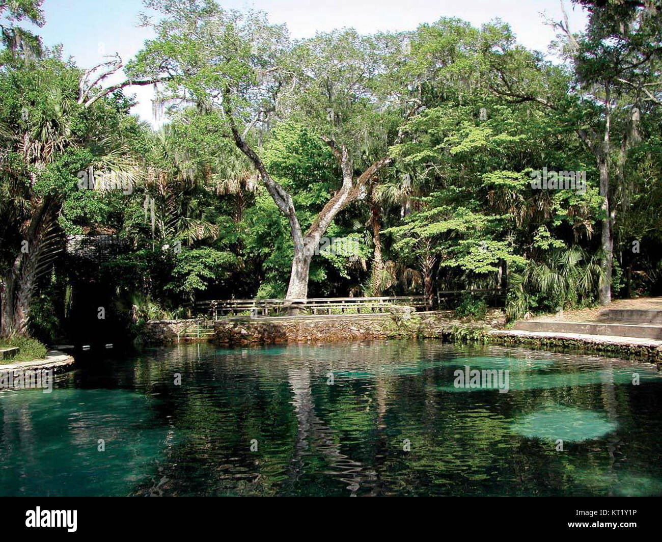 Juniper Springs is a natural spring located in the Ocala National ...