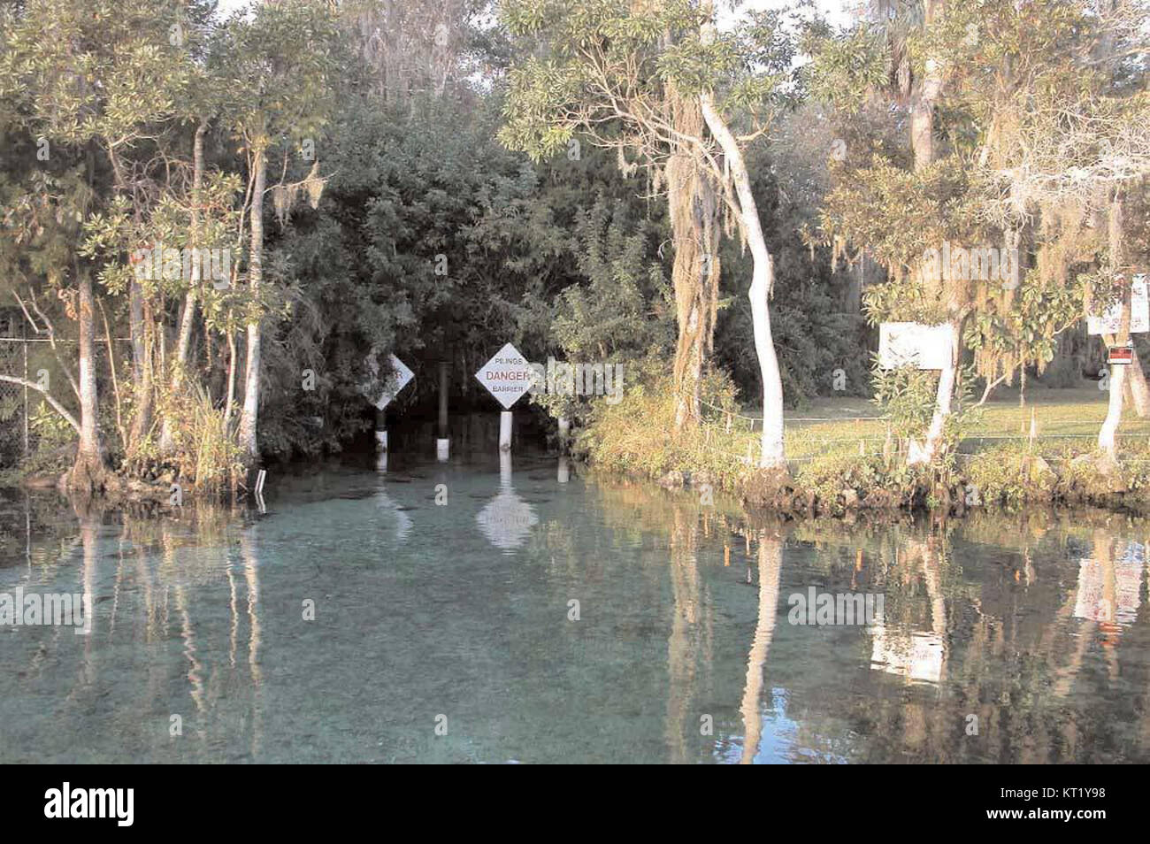 The Three Sisters Springs is a natural spring system located in Florida ...
