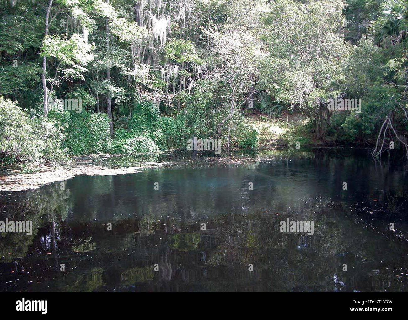 Importance of water cycle hi-res stock photography and images - Alamy