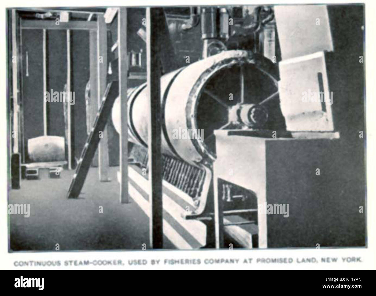 The 32555 Continuous Steam-Cooker is an industrial cooking appliance ...