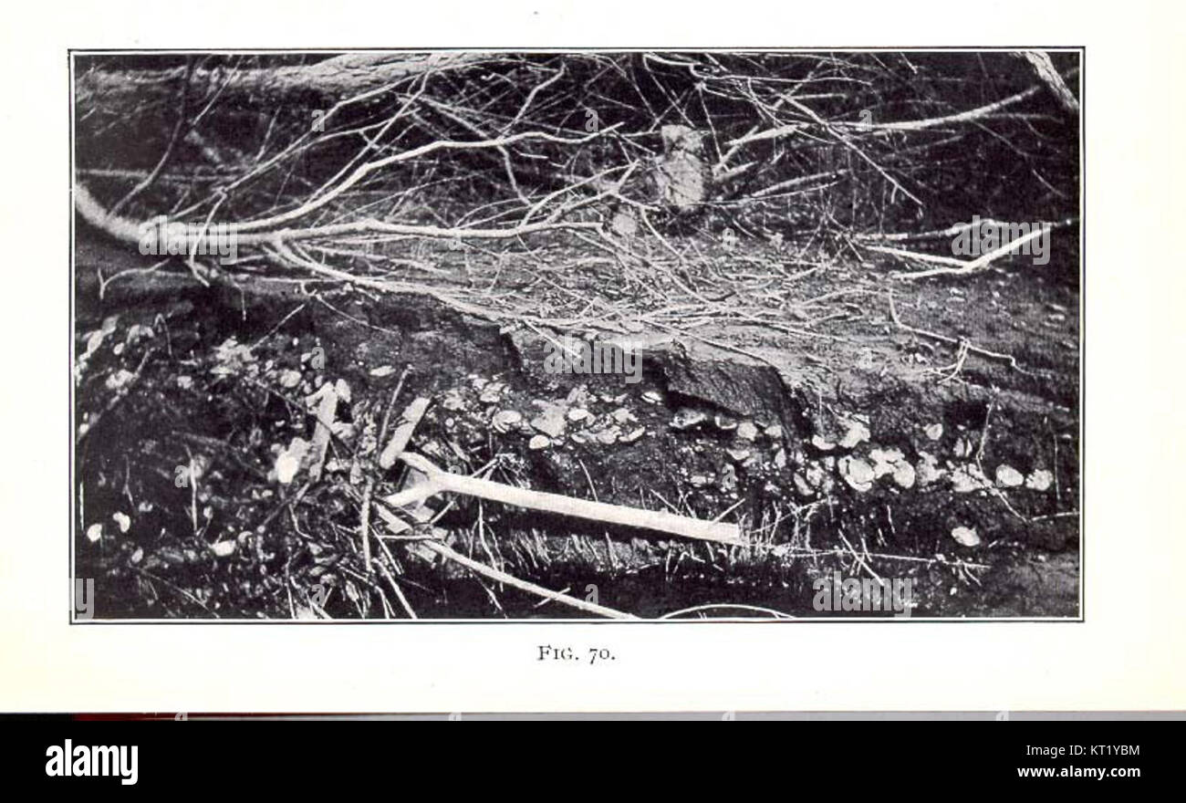 This old mussel bed near Muscatine, Iowa, is an ancient underwater ...