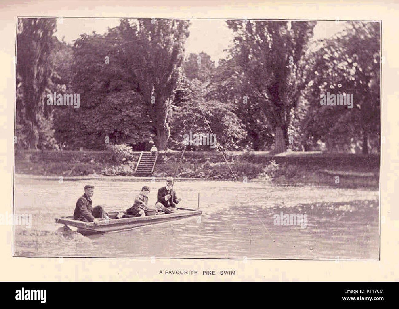 32593 A Favourite Pike Swim Stock Photo - Alamy