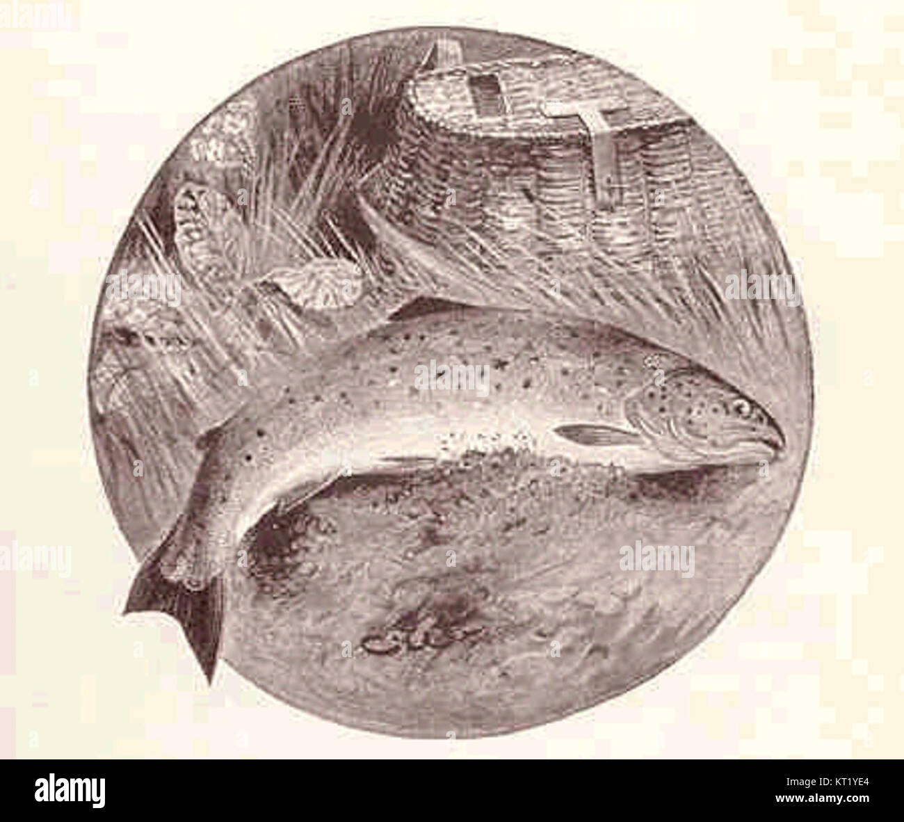 This title likely refers to the title page of a document or publication identified by the number ...