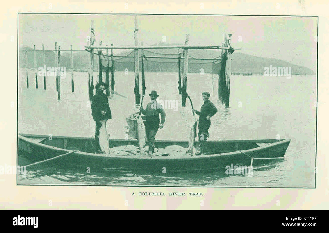 The Columbia River Trap is a historical fishing device used to catch ...