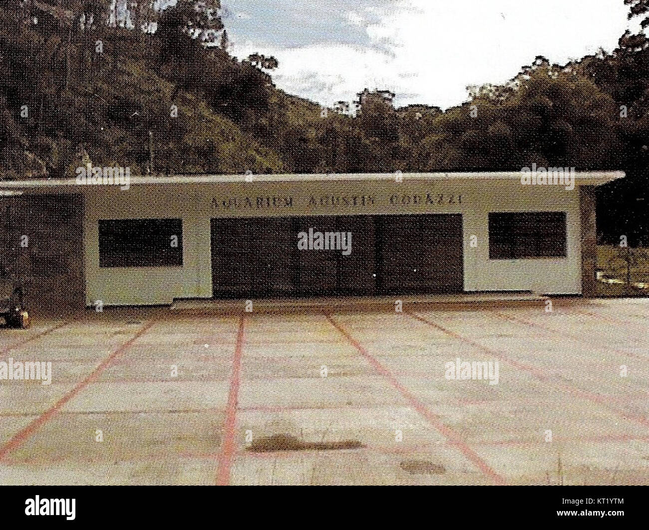 Acuario Agustin Codazzi, located in Colombia, is a renowned aquarium ...